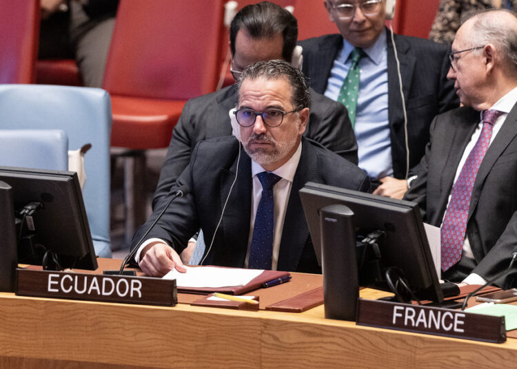 Ecuador Dejará Su Puesto En El Consejo De Seguridad De La Onu En